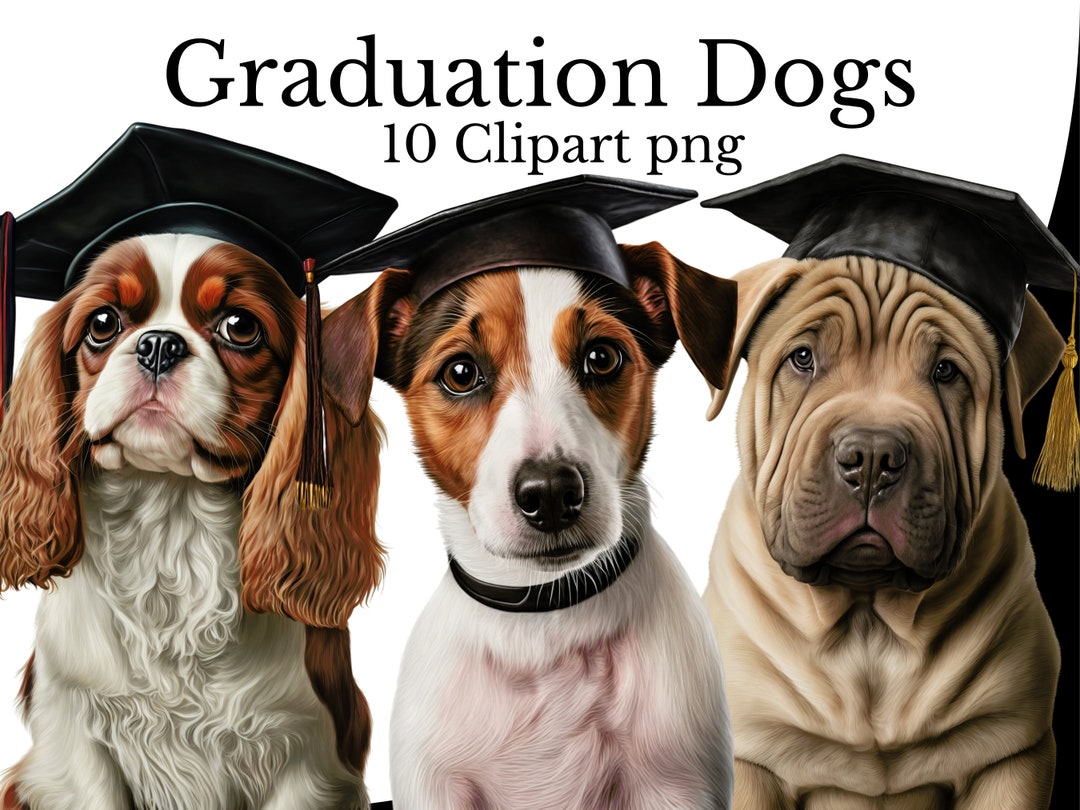 Graduation Dog Clipart Bundle Watercolor Art Human Animal - Etsy
