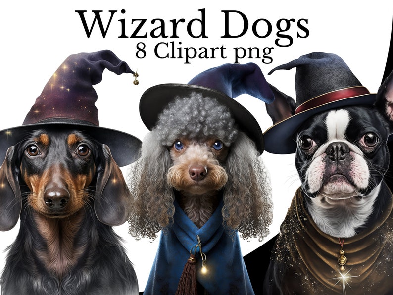 Wizard Dog Clipart Bundle Witch Dog Watercolor Art Human - Etsy