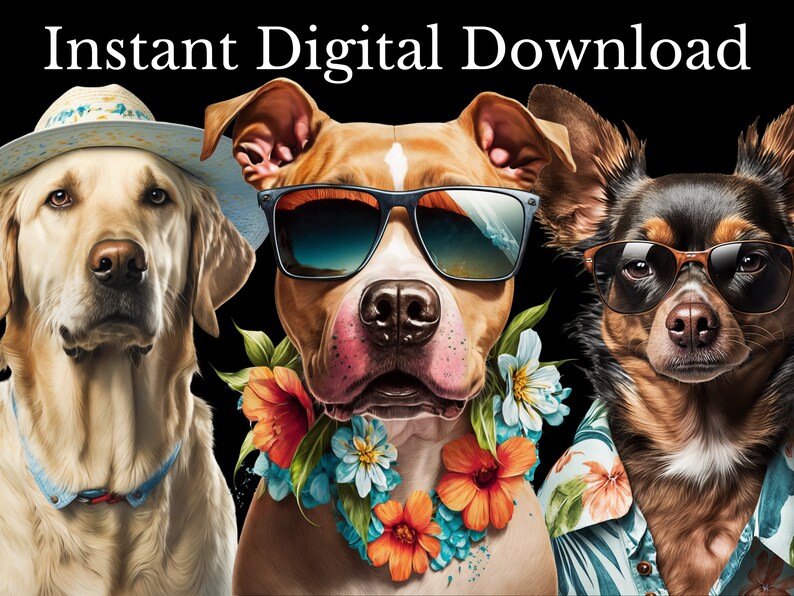 Summer Dog Clipart Bundle Beach Dog Digital Art Human Animal - Etsy