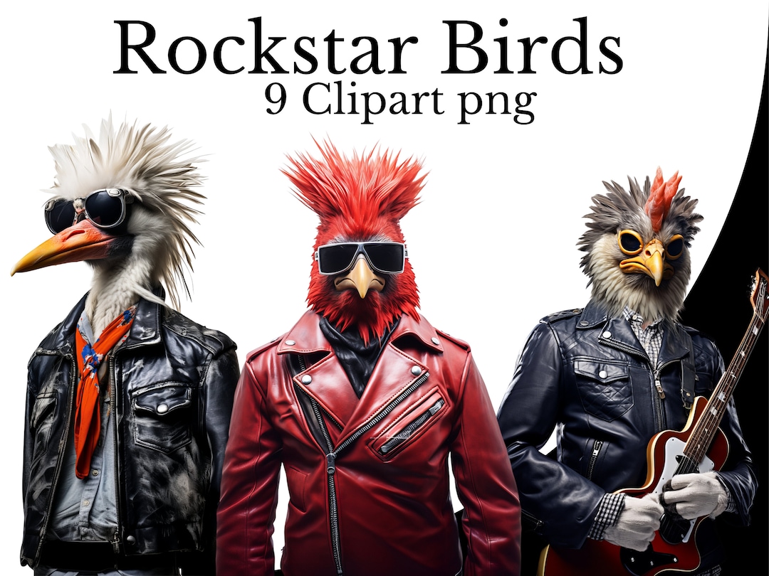Rockstar Bird Clipart Bundle Cardinal Art Human Animal PNG - Etsy