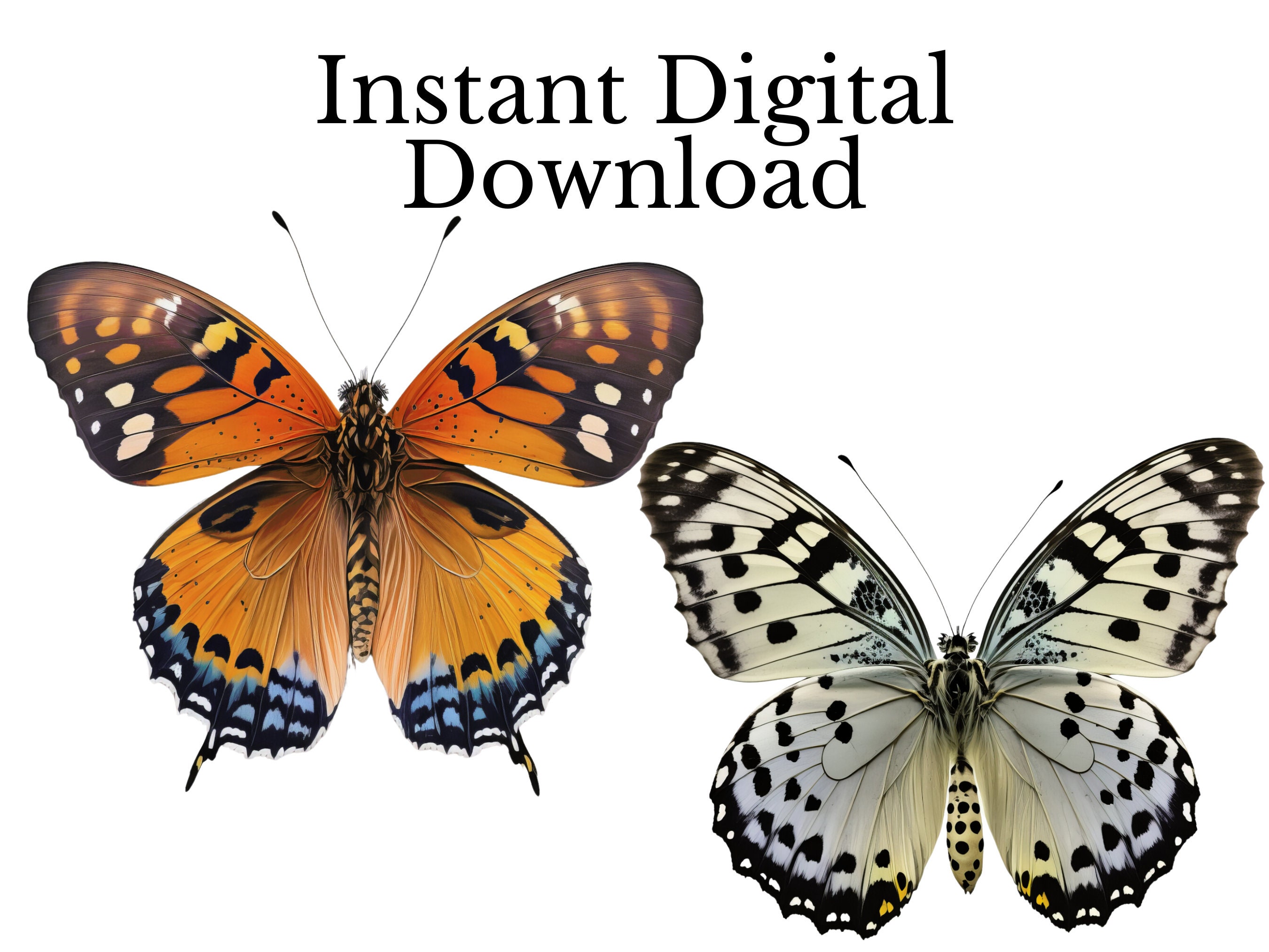 Butterfly Clipart Bundle, Watercolor Art, Insect Nature PNG Digital ...