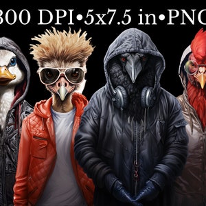 Hip Hop Bird Clipart Bundle, Rapper Cardinal Art, Human Animal PNG ...