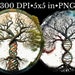 Tree of Life (DNA Style) Clipart Bundle, Watercolor PNG, DNA Helix ...