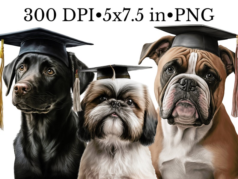 Graduation Dog Clipart Bundle Watercolor Art Human Animal - Etsy