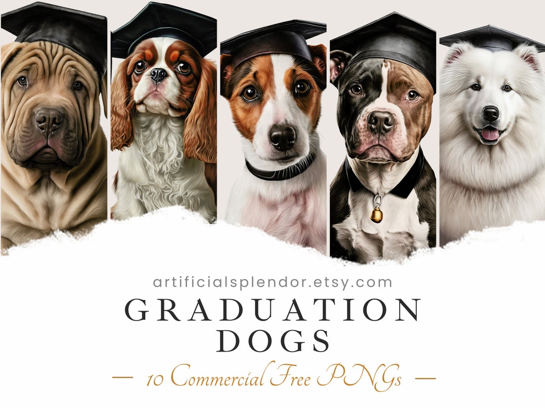 Graduation Dog Clipart Bundle, Watercolor Art, Human Animal PNG ...