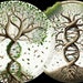 Tree of Life (DNA Style) Clipart Bundle, Watercolor PNG, DNA Helix ...
