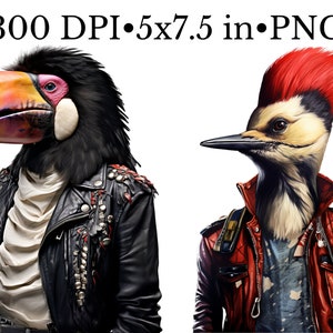 Rockstar Bird Clipart Bundle, Cardinal Art, Human Animal PNG, Digital ...