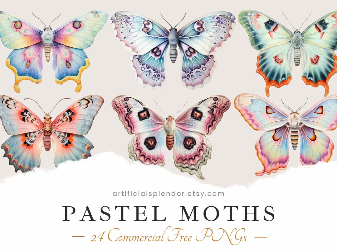 Moth Clipart PNG Bundle Watercolor Pastel Moth Instant Digital Download ...