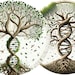Tree of Life DNA Style Clipart Bundle, Watercolor PNG, DNA Helix ...