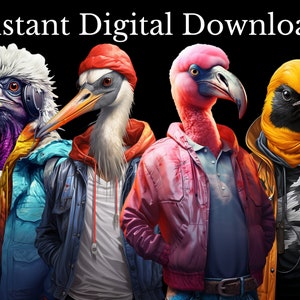 Hip Hop Bird Clipart Bundle, Rapper Cardinal Art, Human Animal PNG ...