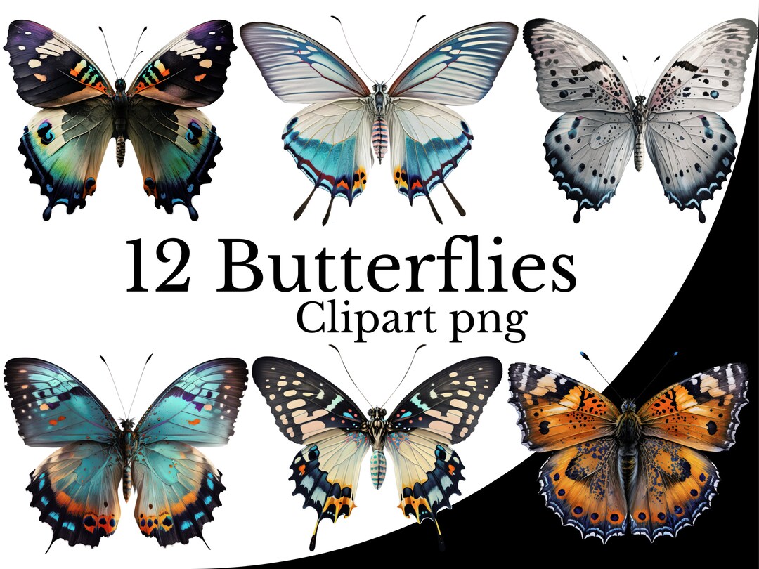 Butterfly Clipart Bundle, Watercolor Art, Insect Nature PNG Digital ...