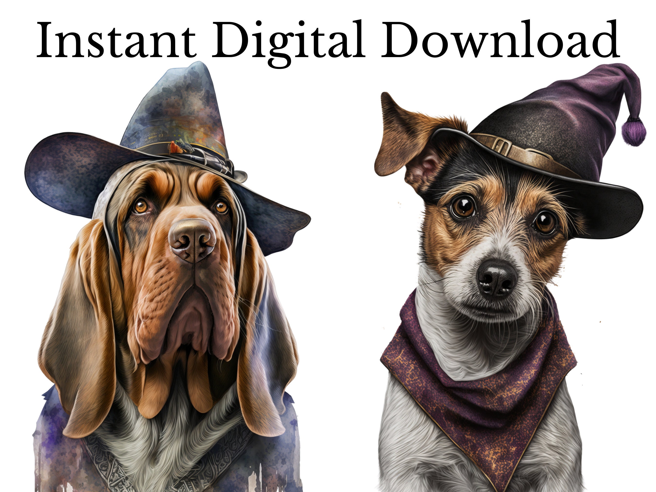 Wizard Dog Clipart Bundle Witch Dog Watercolor Art Human - Etsy