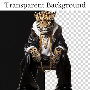 Hip Hop Animal Clipart Bundle Safari Animals Art Rap Musician PNG ...