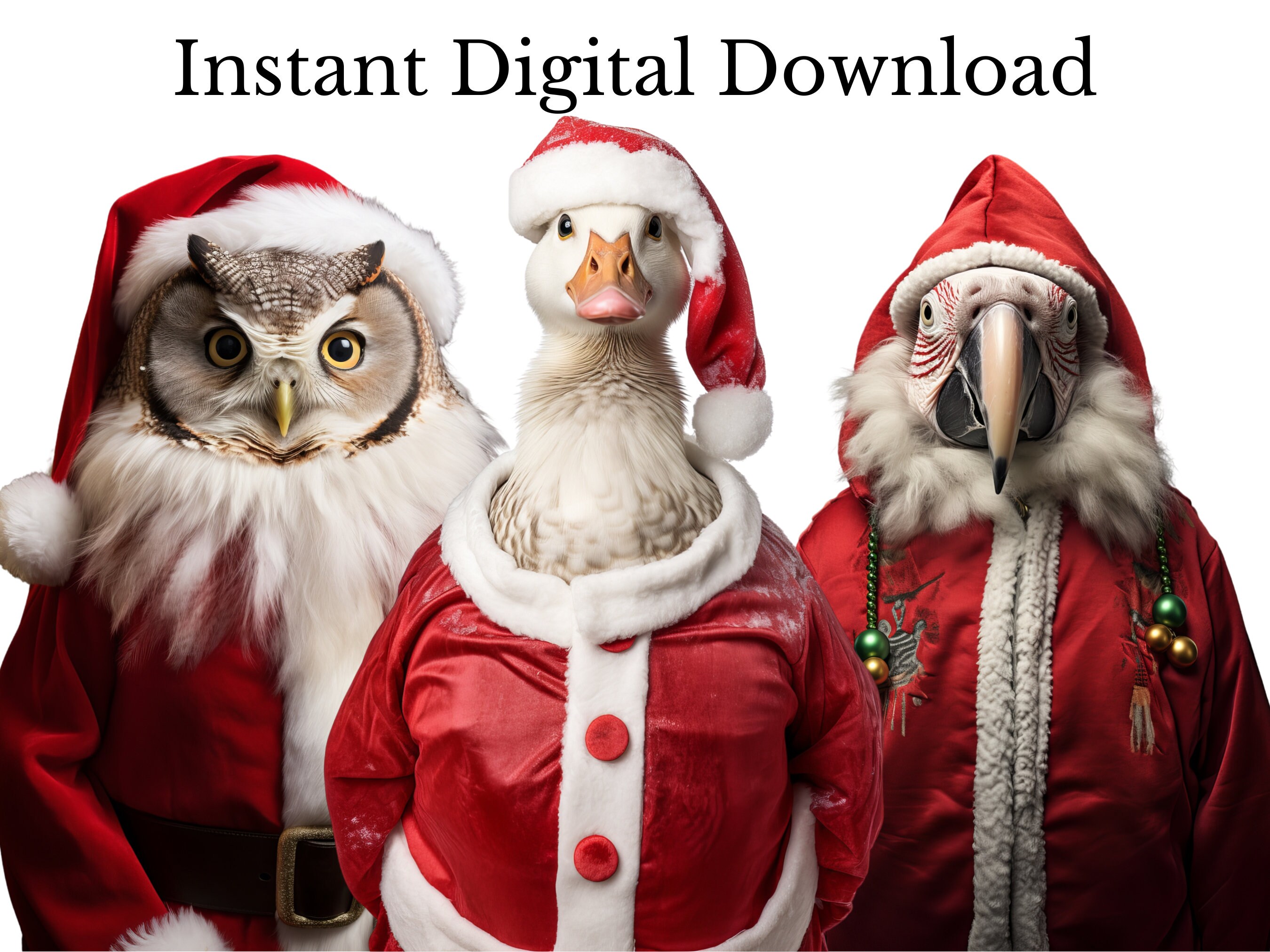 Christmas Bird Clipart Bundle Watercolor Animal Art Free Commercial Use ...