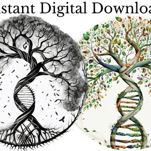 Tree of Life (DNA Style) Clipart Bundle, Watercolor PNG, DNA Helix ...