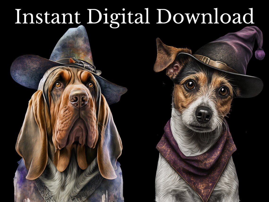 Wizard Dog Clipart Bundle Witch Dog Watercolor Art Human - Etsy