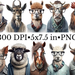 Hipster Farm Animal Clipart Bundle, Watercolor Art, Human Chicken PNG ...