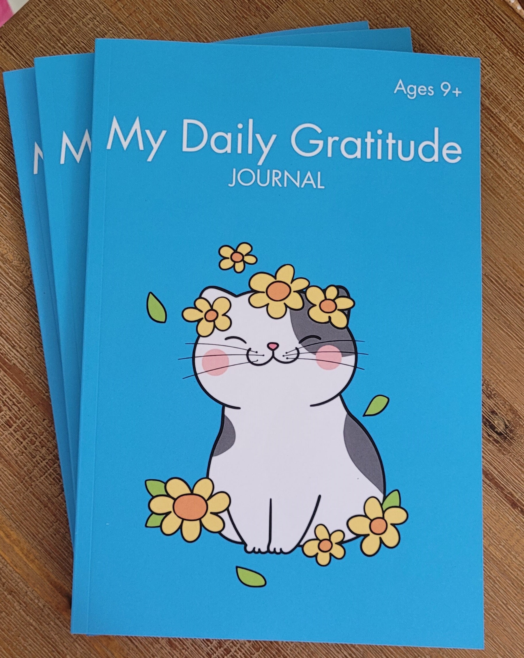 My Daily Gratitude Journal for Ages 9+ - Etsy