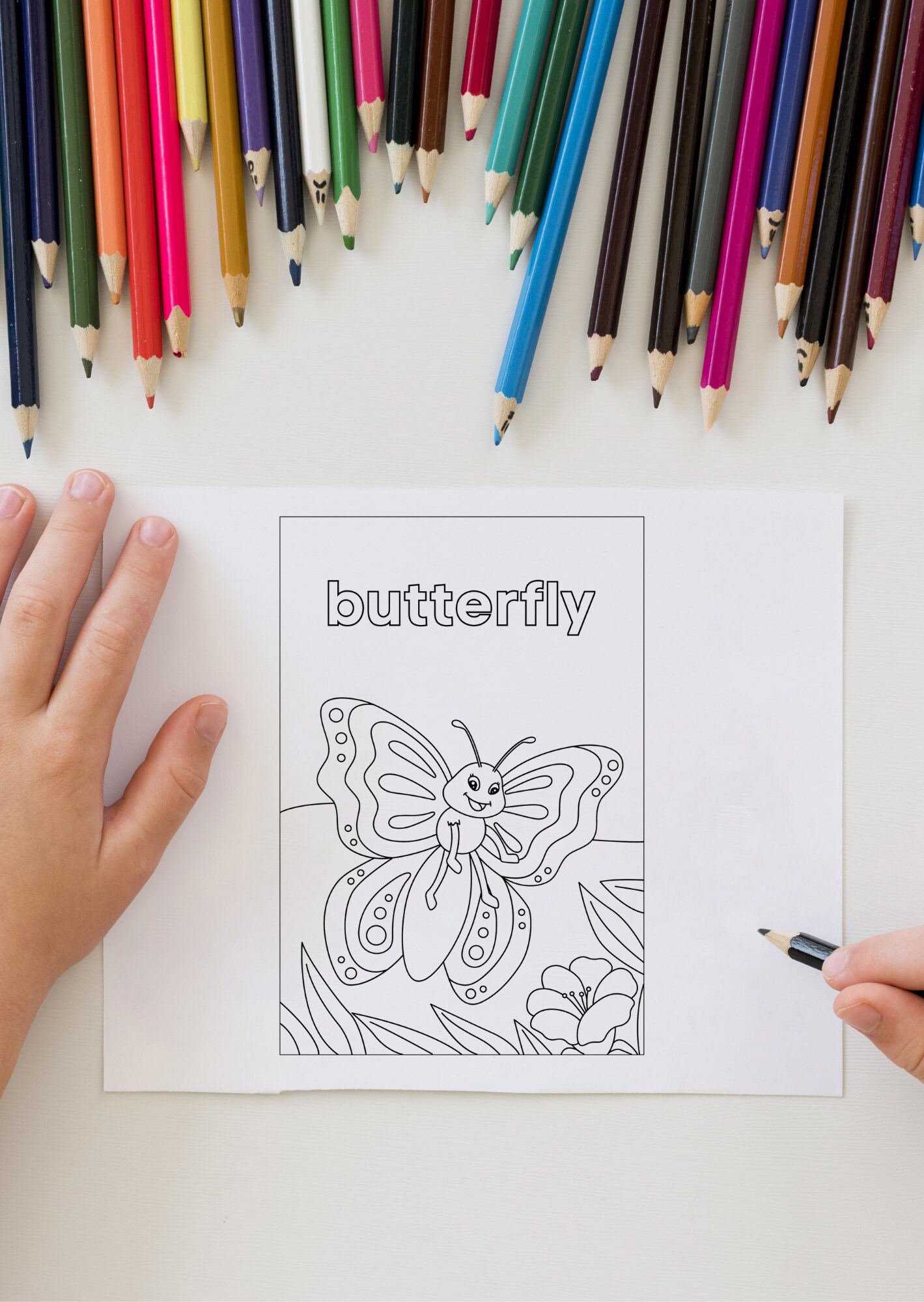 Animal Coloring Pages, Color Activity, Printable Coloring, Kid Activity ...