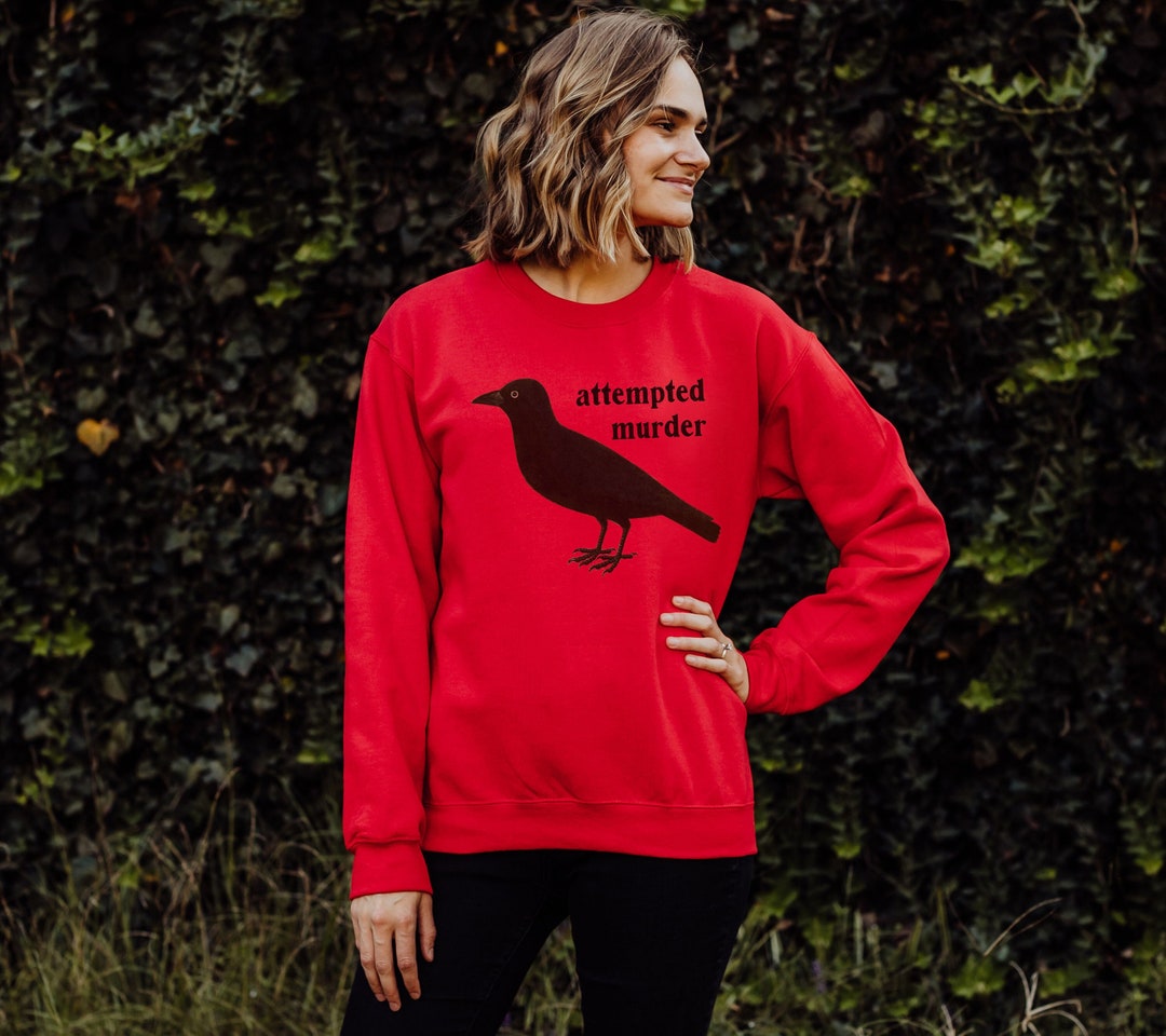 Attempted Murder of Crows Corvid Core Sweat Shirt, ' Dark ' Academia ...