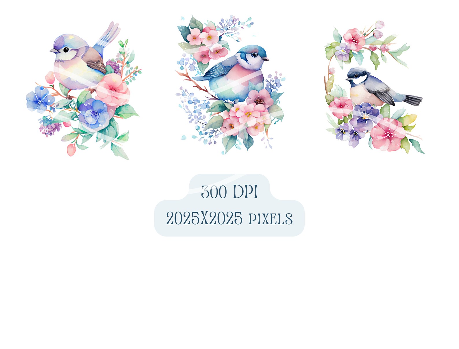 Chirping Beauties - Spring Birds Watercolor Clipart Bundle for Junk ...