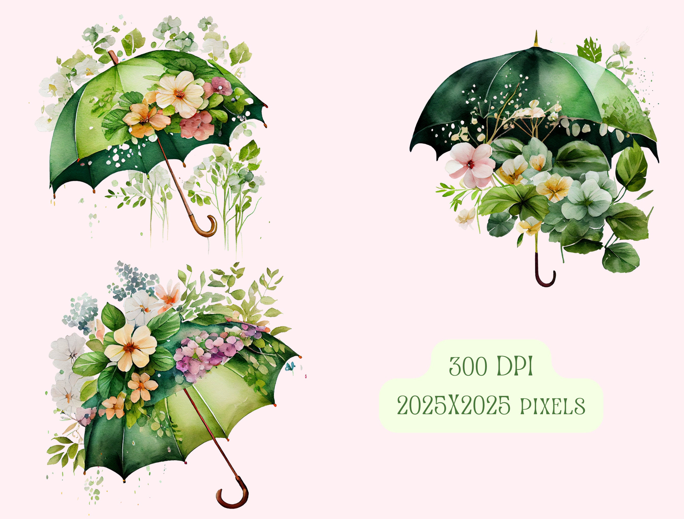 Summer Garden Floral Umbrella Clipart Bundle Colorful - Etsy