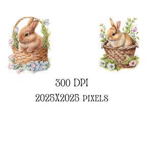 Cute Bunny Clipart Bundle - Spring Bunny Clipart - Bunny Watercolor ...