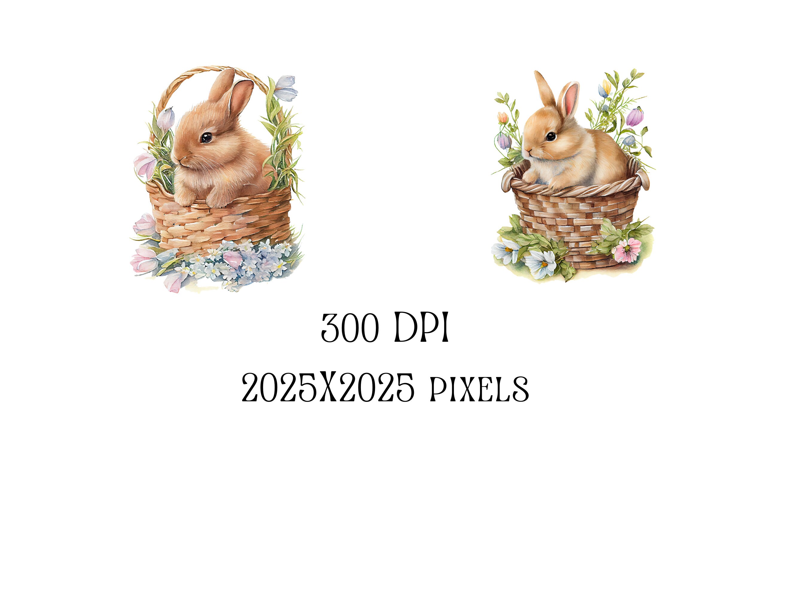 Cute Bunny Clipart Bundle - Spring Bunny Clipart - Bunny Watercolor ...