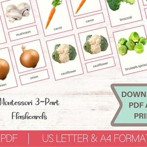 25 Vegetables Cards | Montessori Learning Homeschool Resources, Food ...