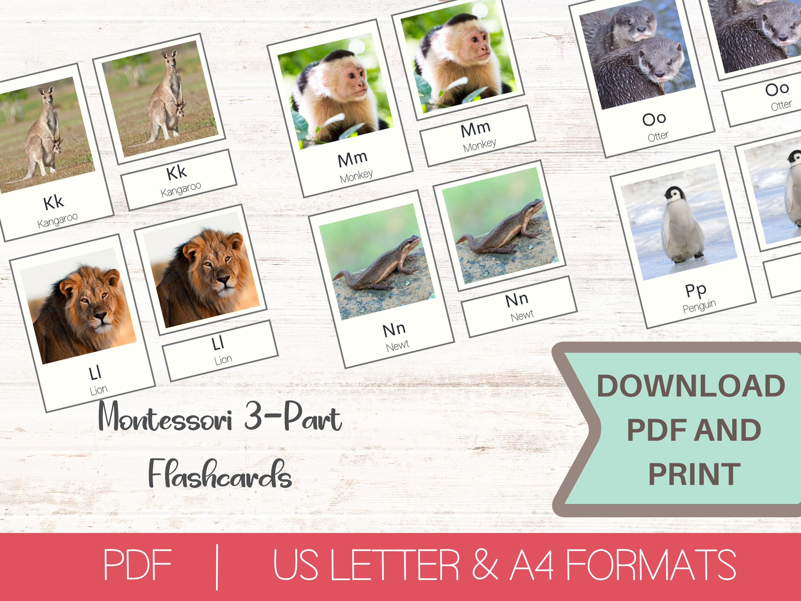 Learn Animals Alphabet Printable Montessori School 3 Part Flashcards ...
