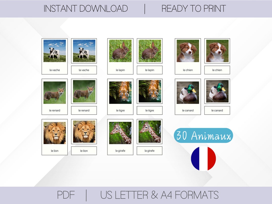 Learn French With 30 Animals | Montessori School 3 Part Flashcards ...