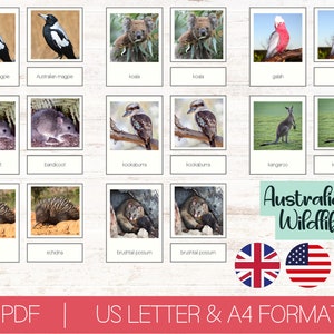 25 Australian Animals Cards Montessori School 3 Part Flashcards ...