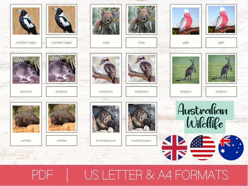 25 Australian Animals Cards Montessori School 3 Part Flashcards ...