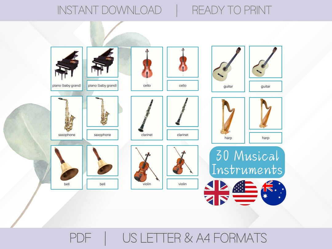 30 Musical Instruments | Montessori School 3 Part Flashcards ...