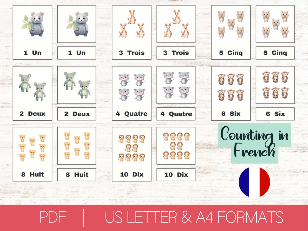 Montessori Counting to 10 in French | Montessori School 3 Part ...