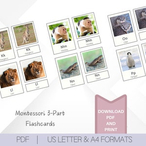 Learn Animals Alphabet Printable | Montessori School 3 Part Flashcards ...