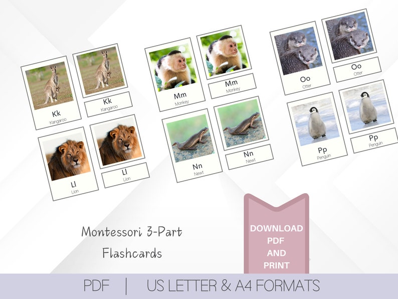 Learn Animals Alphabet Printable | Montessori School 3 Part Flashcards ...