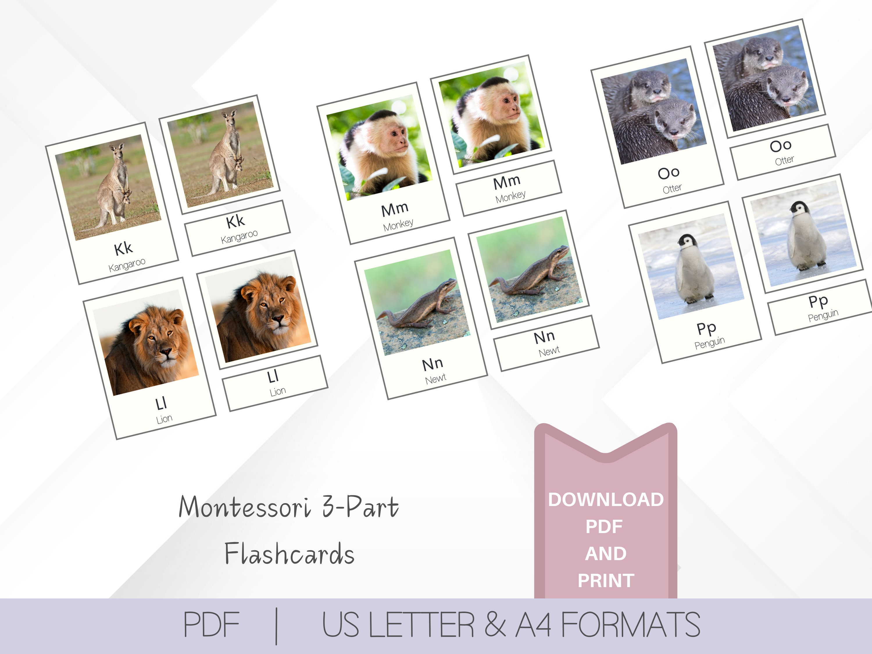 Learn Animals Alphabet Printable | Montessori School 3 Part Flashcards ...