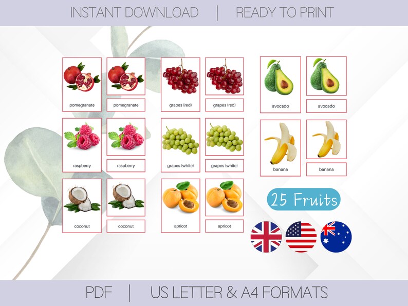 25 Fruits Cards | Montessori Printable Flashcards for Home Schooling ...
