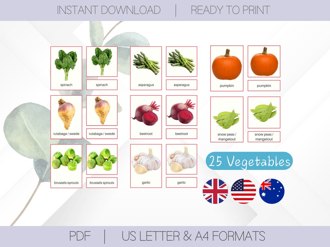 25 Vegetables | Montessori School 3 Part Flashcards | Printable ...