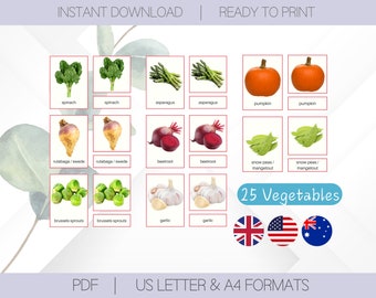 Learn Animals Alphabet Printable | Montessori School 3 Part Flashcards ...