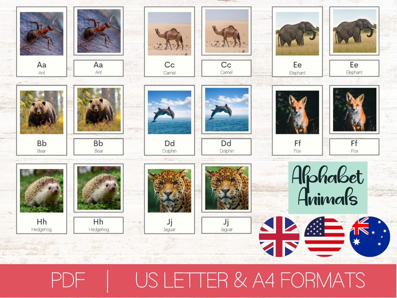 Learn Animals Alphabet Printable Montessori School 3 Part Flashcards ...