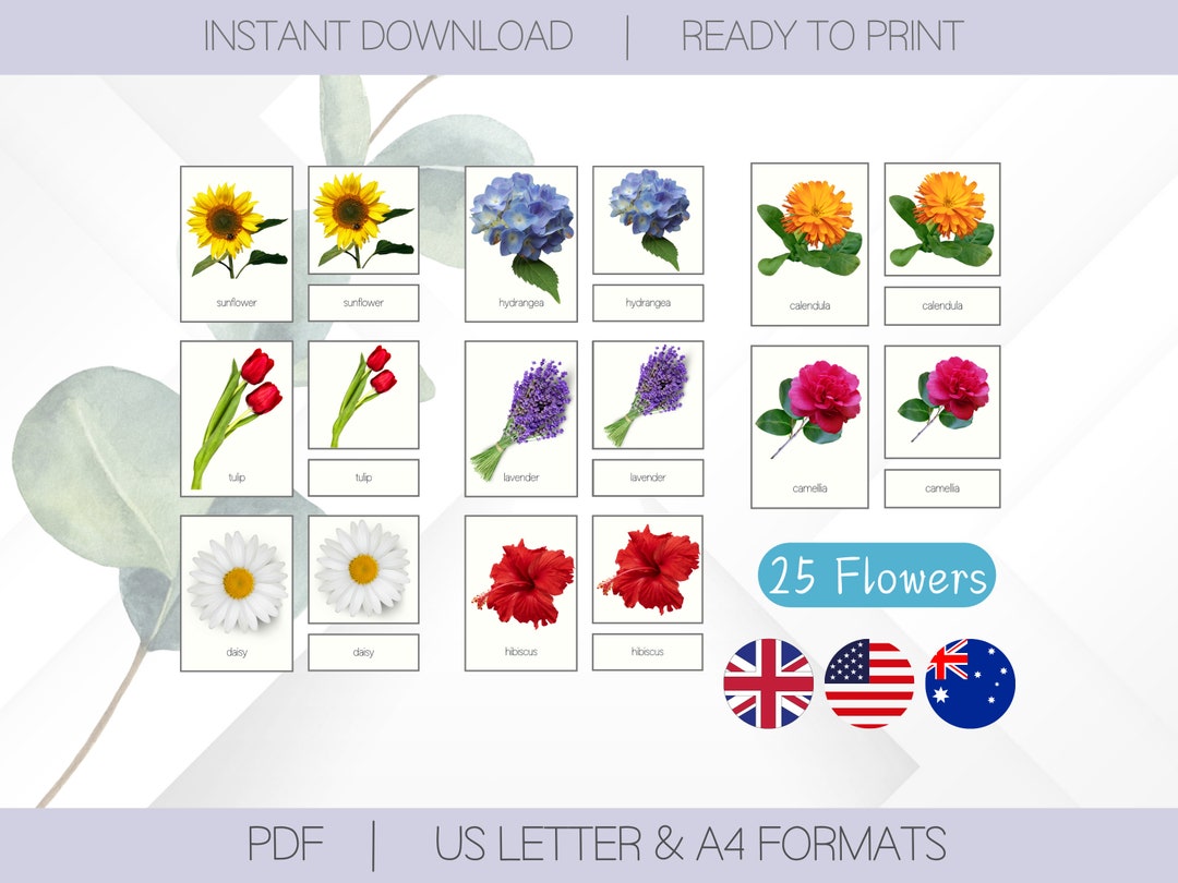 25 Flowers Botanical Cards | Montessori School 3 Part Flashcards ...
