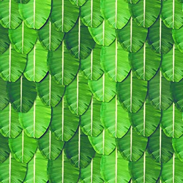 Indian Backdrop - Etsy