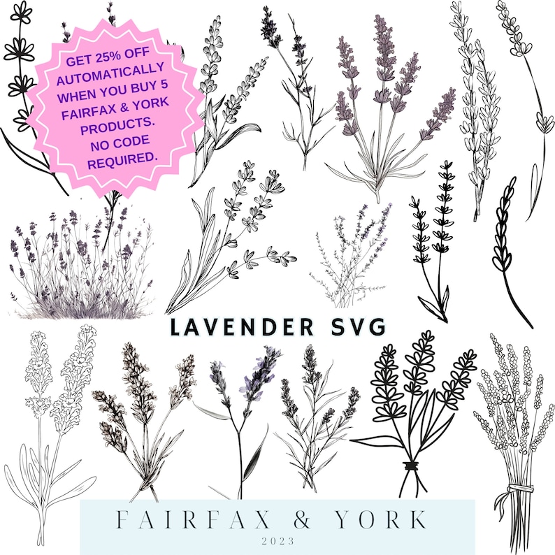 Lavender Svg Bundle Flower Svg Lavender PNG Floral Svg Botanical Svg ...