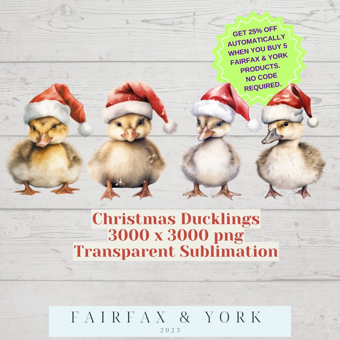 Duckling Christmas Light PNG, Quack Christmas Png, Farm Animal PNG ...