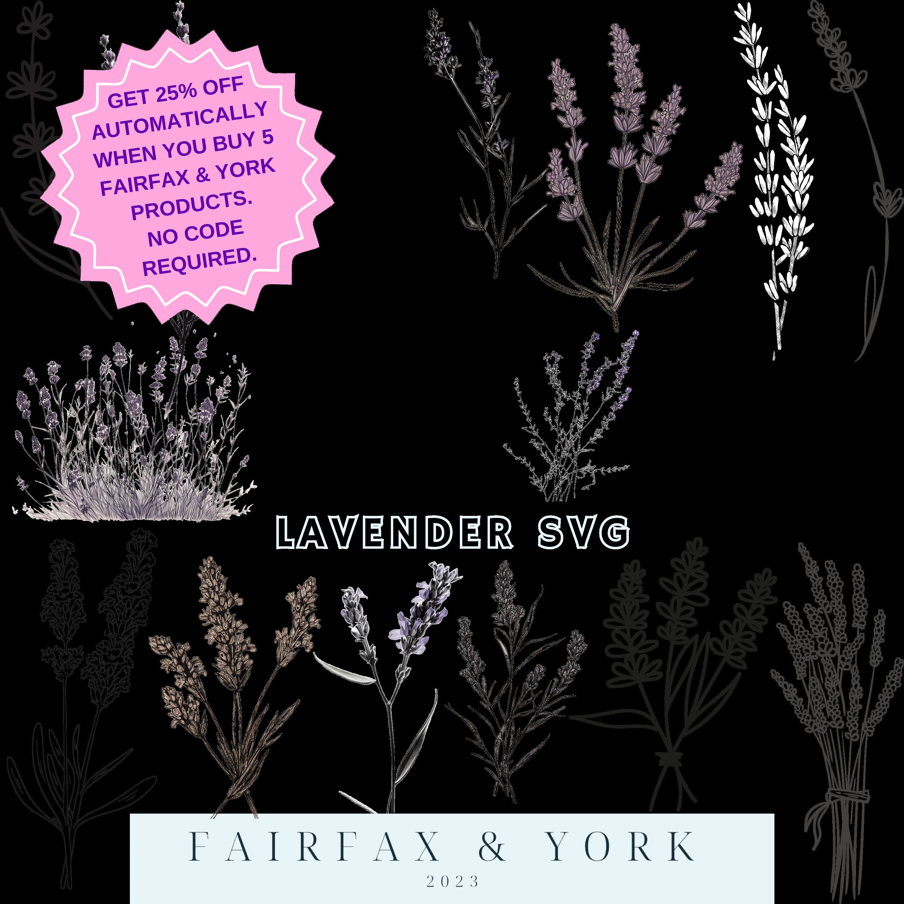 Lavender Svg Bundle Flower Svg Lavender PNG Floral Svg Botanical Svg ...