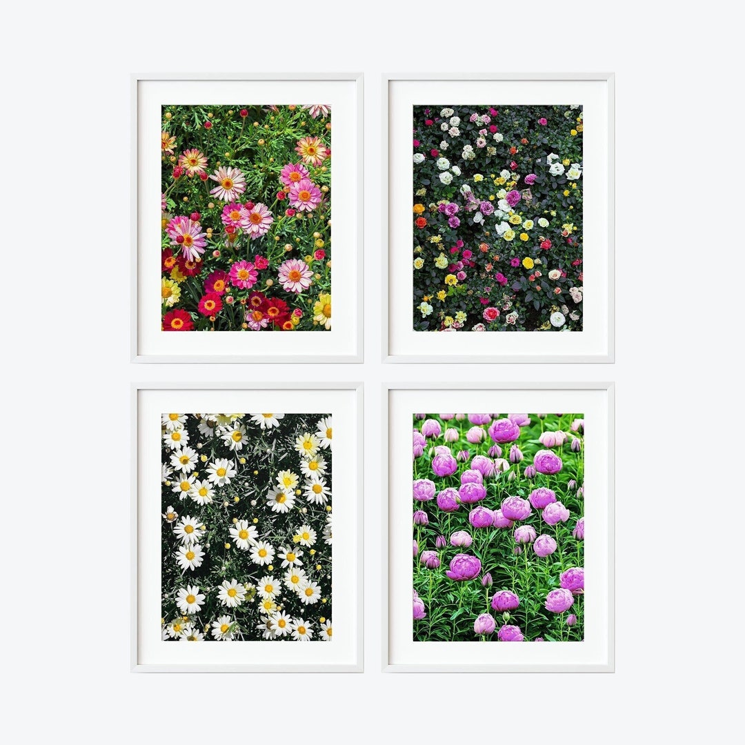 Set of 4 Printable Flower Wall Art, Botanical Art for Home Decor ...