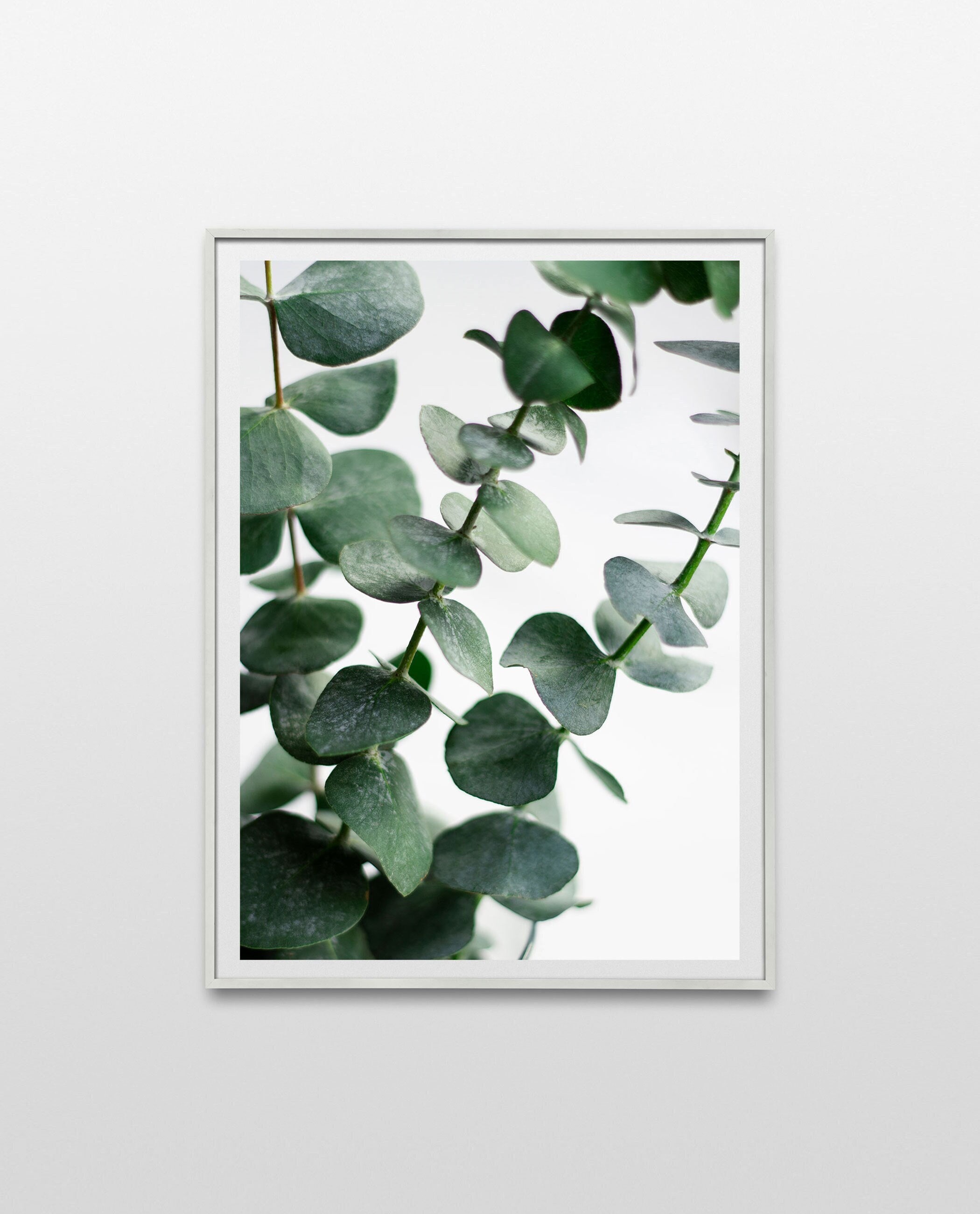 Eucalyptus Botanical Print, Printable Wall Art for Nature Lovers ...