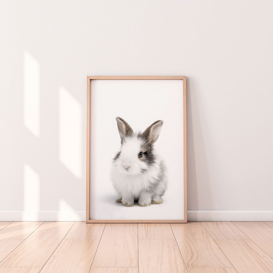 Cute Bunny Wall Art Print, Adorable Animal Decor, Perfect Gift for ...
